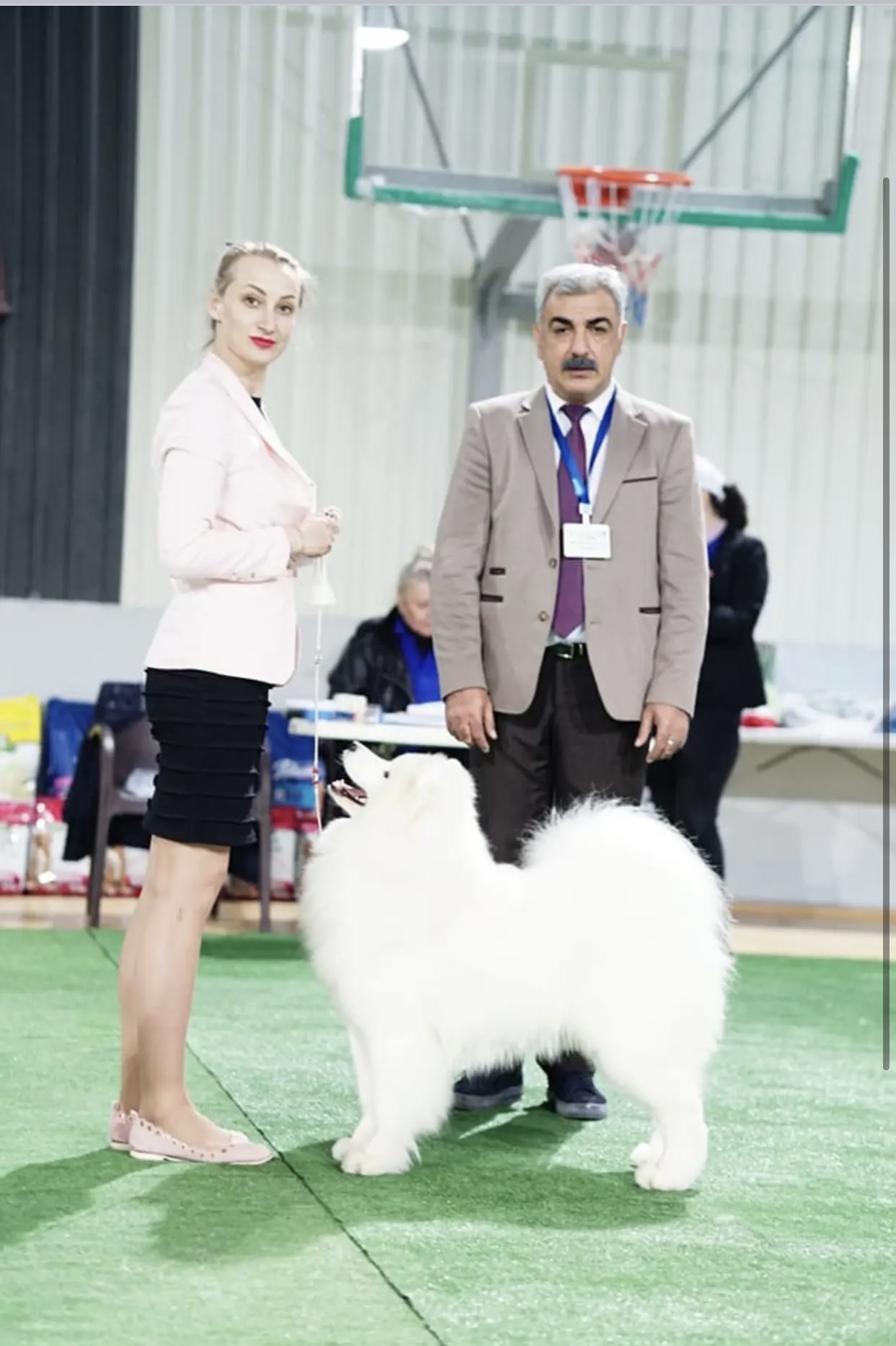 Slicker Brushes: A Must-Have Tool for Line Grooming Your Samoyed ...