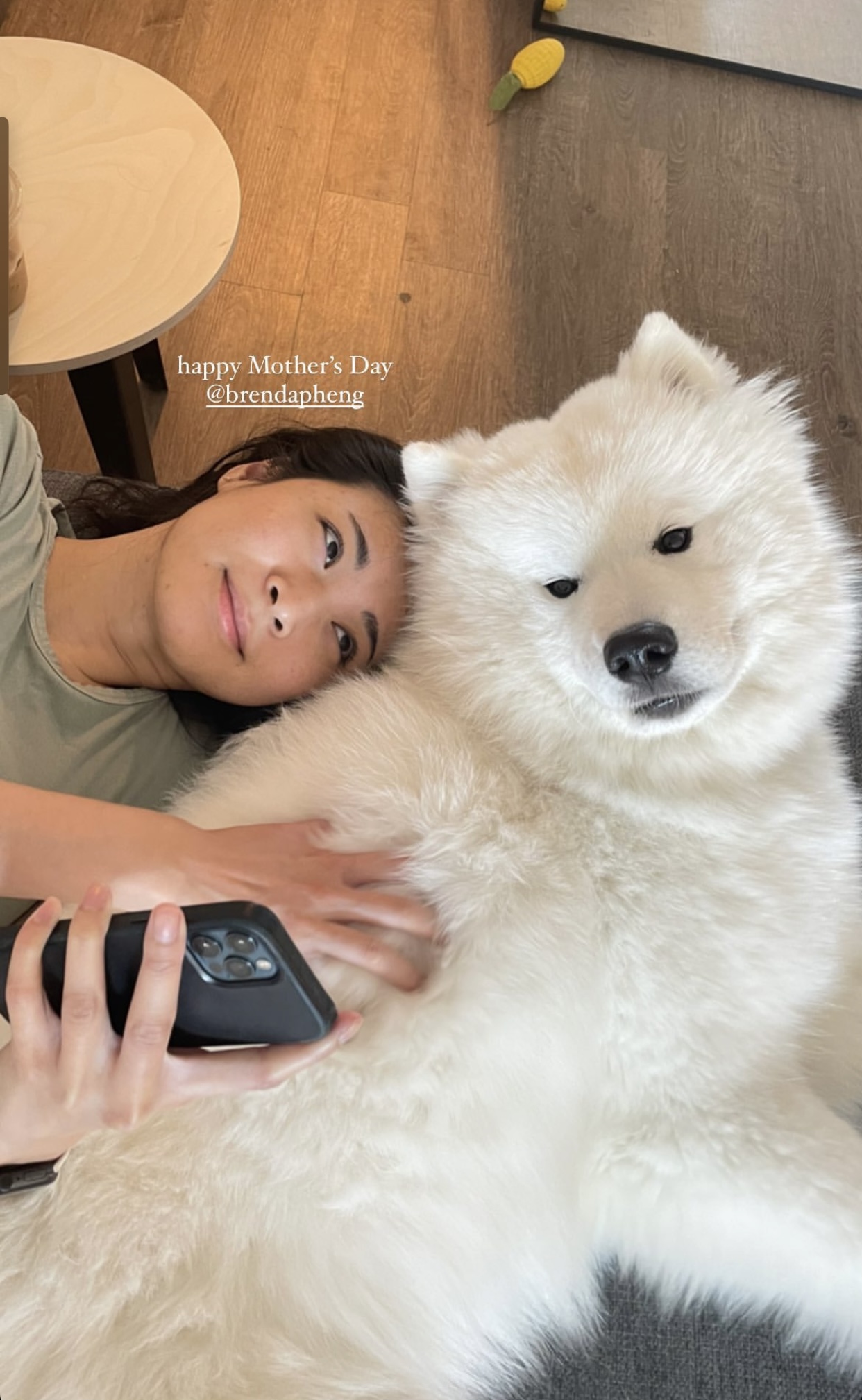 Samoyeds: The Marvelous Companions That Warm Your Heart - Imperial Samoyeds